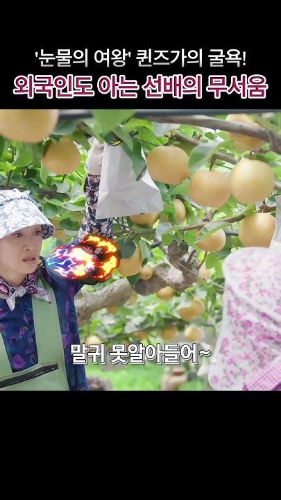 눈물의 여왕 퀸즈가의 굴욕 외국인도 아는 선배의 무서움 Youtube