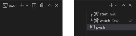 Visual Studio Code 中的终端外观 Vscode中文网