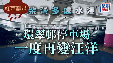 獨家丨《造星v》亨仔豪爽認熱戀：佢好錫我 港大女友首訪問唔驚男友多女埋身