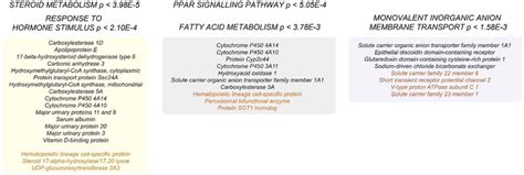 Functional Annotation Categories Enriched For Proteins Differentially