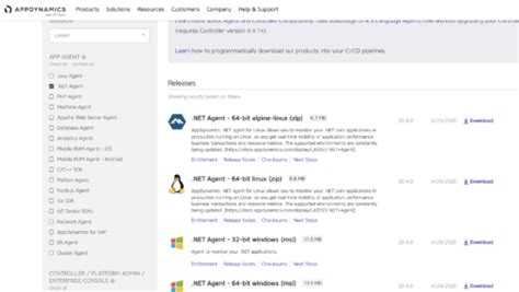 Appdynamicsインストール入門 Net Agent編 ~ Net Coreの監視