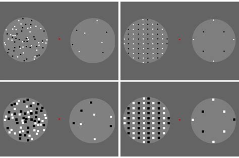 Numerosity Adaptation Effect Mental Bomb