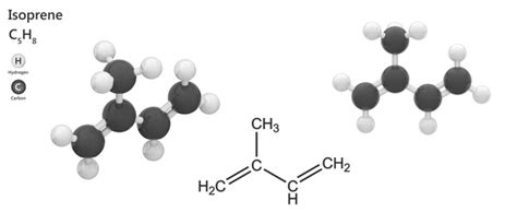 196 Chemical Structure Of Isoprene Royalty Free Photos And Stock Images Shutterstock