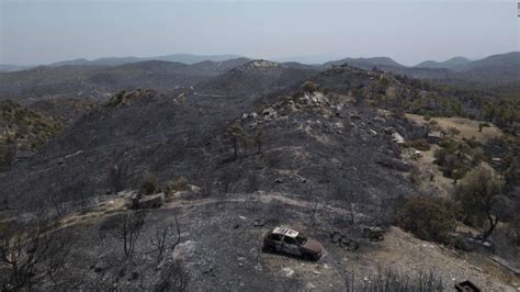 Rescatan A Un Conejo Durante Los Incendios En Grecia Video