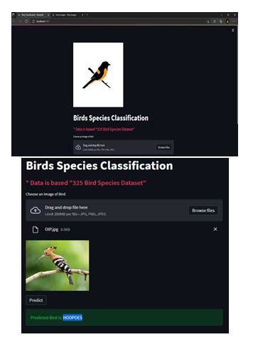 Classification Of Bird Species Using Deep Learning Techniques
