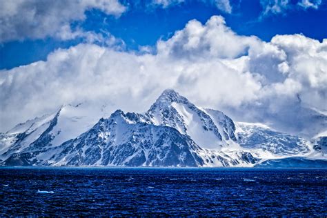 一度は観たい究極の自然旅行へ南極観光ツアーとその見どころ TABIZINE人生に旅心を