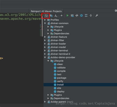 Maven导包时依赖无法导入，maven项目手动导包maven Dubbo无法导包 Csdn博客