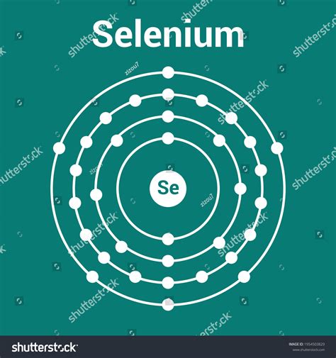 Selenium Bohr Model