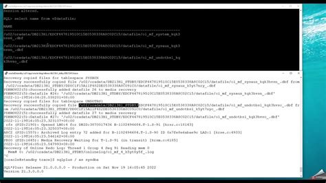 Add And Drop Pluggable Database Pdb In Dataguard Youtube