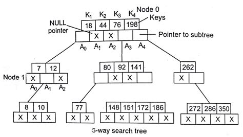 Tree In C Language Tutorial Notes Study Material With Examples