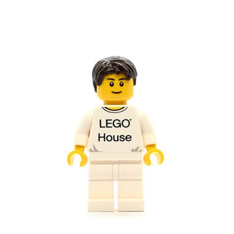 Lego House Minifig Lego Minifigures Legominifiguresworld