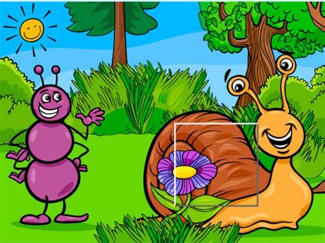 Insect Pic Puzzles Play Free Game Online At