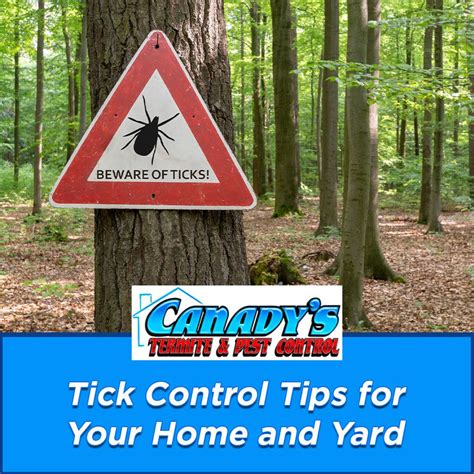 Tick Control Tips For Your Home And Yard Canadys Termite And Pest Control
