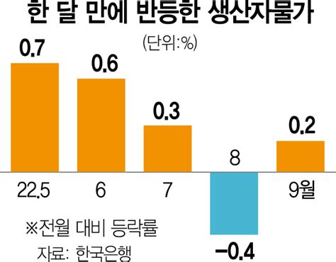 고환율 엎친데 가스요금까지 생산자물가도 한달만에 껑충 서울경제