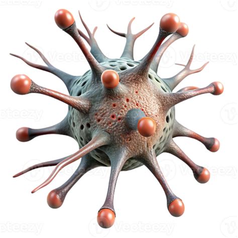 Magnificent Traditional Neuron Cluster Microscopic View Isolated Original 58049152 Png