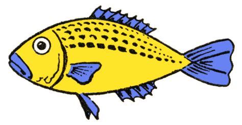 How To Draw A Fish Easy Ways The Graphics Fairy