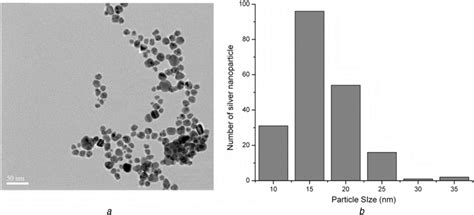 Tem Analysis Of Agnps A Tem Micrograph B Size Distribution Of