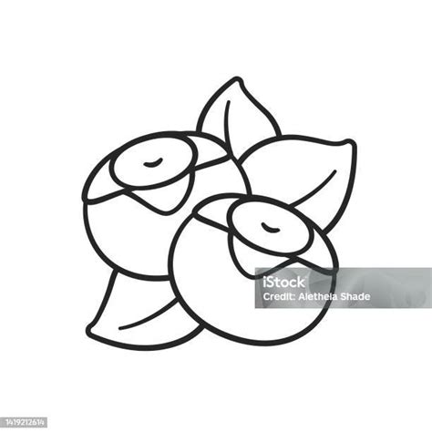 잎이있는 블루 베리 개요 벡터 클립 아트 만화 일러스트레이션 아이들을위한 간단한 쉬운 색칠 공부 책 페이지 활동 워크 시트 0