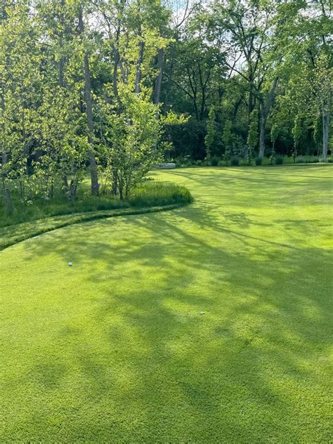 Bentgrass In 2025 Grasses Garden Lawn Mowing