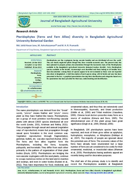 Pteridophytes Ferns And Fern Allies Diversity In Bangladesh Agricultural University Botanical