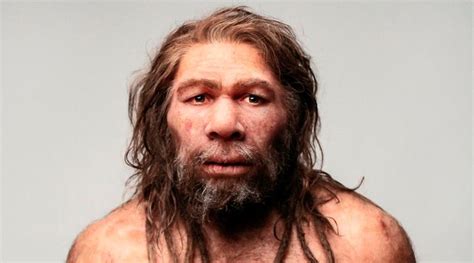 Humanos Neandertales Y Denisovanos Pudieron Hibridarse Fácilmente Invdes