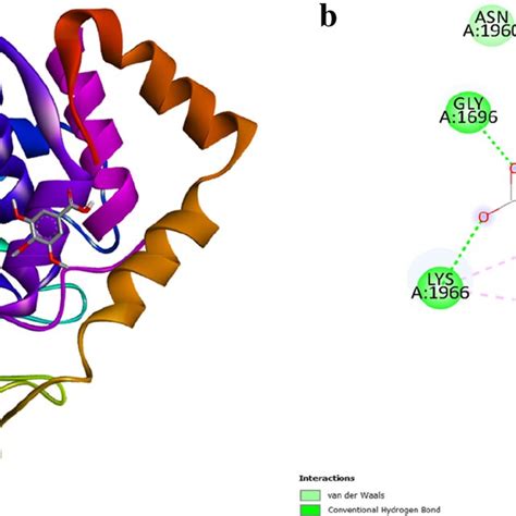 A The Left Panel Demonstrates The Molecular Docking Of Ptprz Pdb Id — Download Scientific