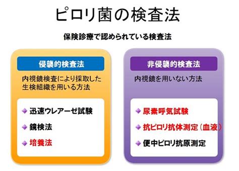 ヘリコバクターピロリについて除菌についても 八木医院