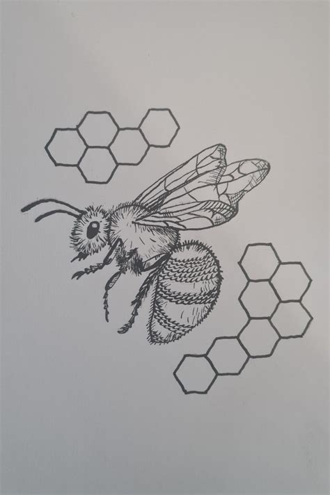 Cute Honeybee Ink Drawing