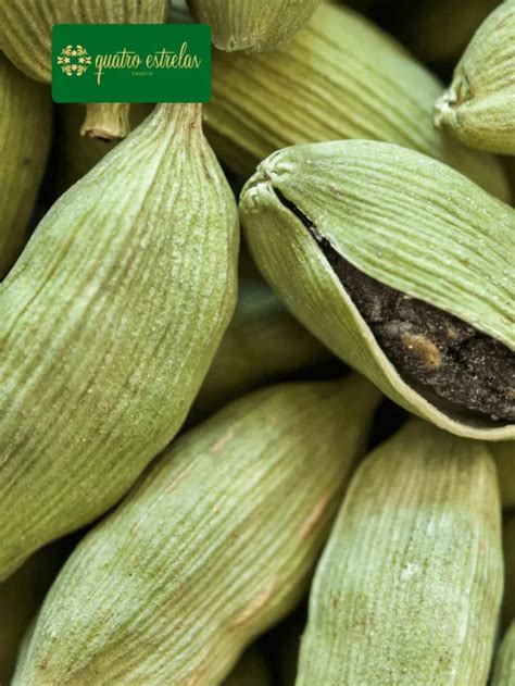 Como Usar Cardamomo Quatro Estrelas