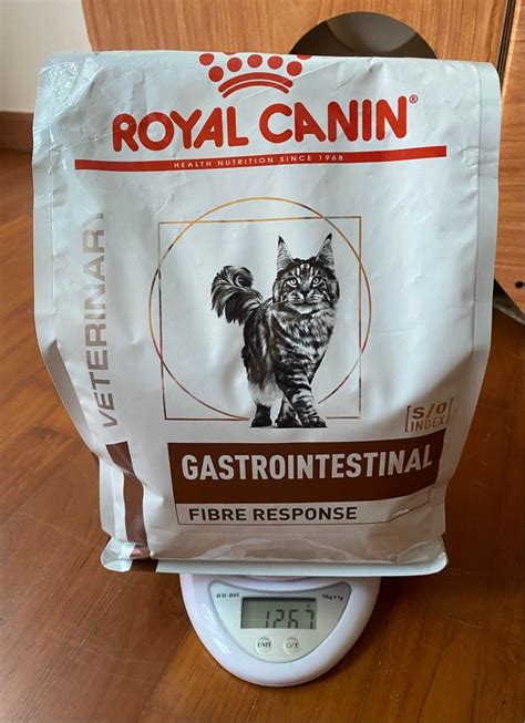 Royal Canin Gastrointestinal Dry Cat Food Pet Supplies Pet Food On