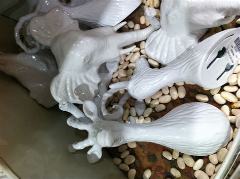 Anthropologie Knobs Dream Book Design