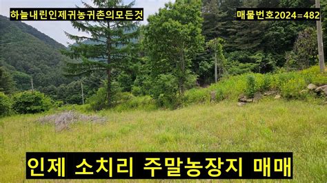 인제소치리 주말농장지 매매 Youtube