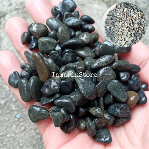 Jual Batu Koral Hitam Hias Aquarium Atau Aquascape Serbaguna 400 Gram