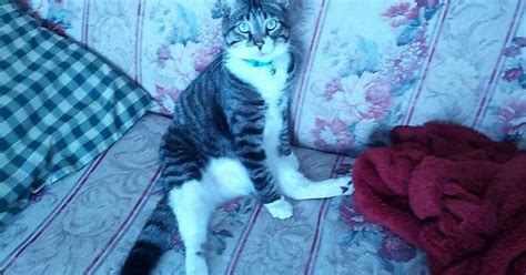 I Turned Around And Sheldon Was Sitting Like This Imgur