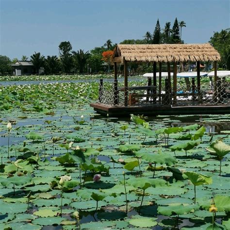 Danzhou Travel Guide 2023 Things To Do What To Eat And Tips