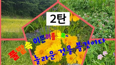 네 옆의 풀밭을 보라 제2탄~ 🌷🌼🌹 꽃 풀밭 봄 들풀 자전거 여유 시리즈 두번째 영상 주변 풀밭을 보면 그