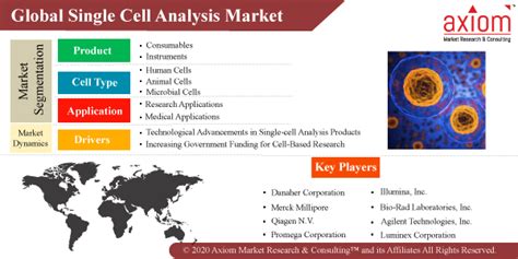 Technological Advancements In Single Cell Analysis Products Is Boosting