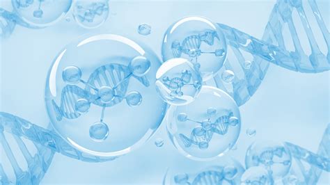 Halloysite Nanotubes Cellulose Ether Based Biocomposite Matrix A Potential Sustained Release