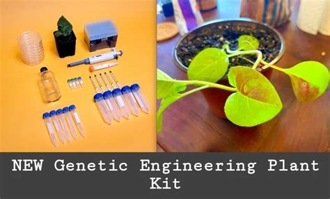 We Are Having A 40 Off Sale For All Of Our Genetic Engineering Kits And Classes Including Our