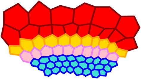 a mesh with cells labeled for local time‐stepping red cells are