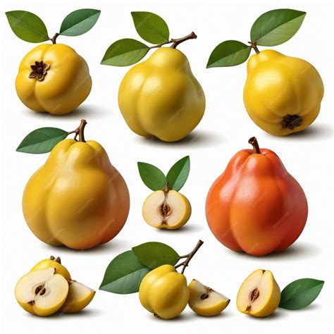 Premium Vector A Collection Of Different Types Of Pears