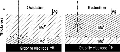 Schematic Drawing Of A Model For Layer Growth And Light Penetration For