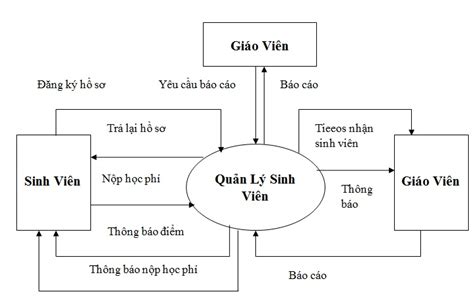 Chi Ti T H N V M H Nh Qu N L H C Sinh Goldenskill