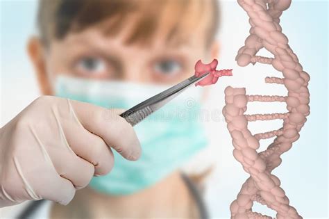 Genetic Engineering And Gene Manipulation Concept Stock Image Image