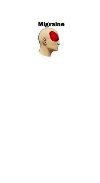 Pandas Make On Linkedin Business Ai Brand Story Entrepreneur