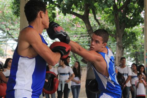 Luta Pela Paz e COB realizam curso de capacitação para treinadores de