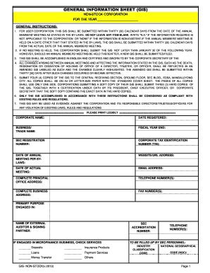 Fillable Online GENERAL INFORMATION SHEET GIS Fax Email Print PdfFiller