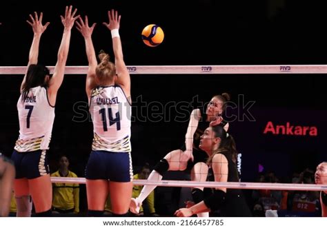 14 Imágenes De Raphaela Folie Imágenes Fotos Y Vectores De Stock Shutterstock