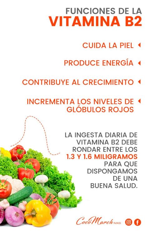 ¿cuál Es La Función De La Vitamina B2 Coco March
