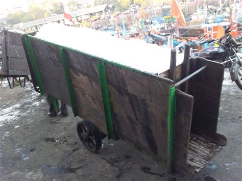 Mumbai Snooping Around Sassoon Docks The Gannet